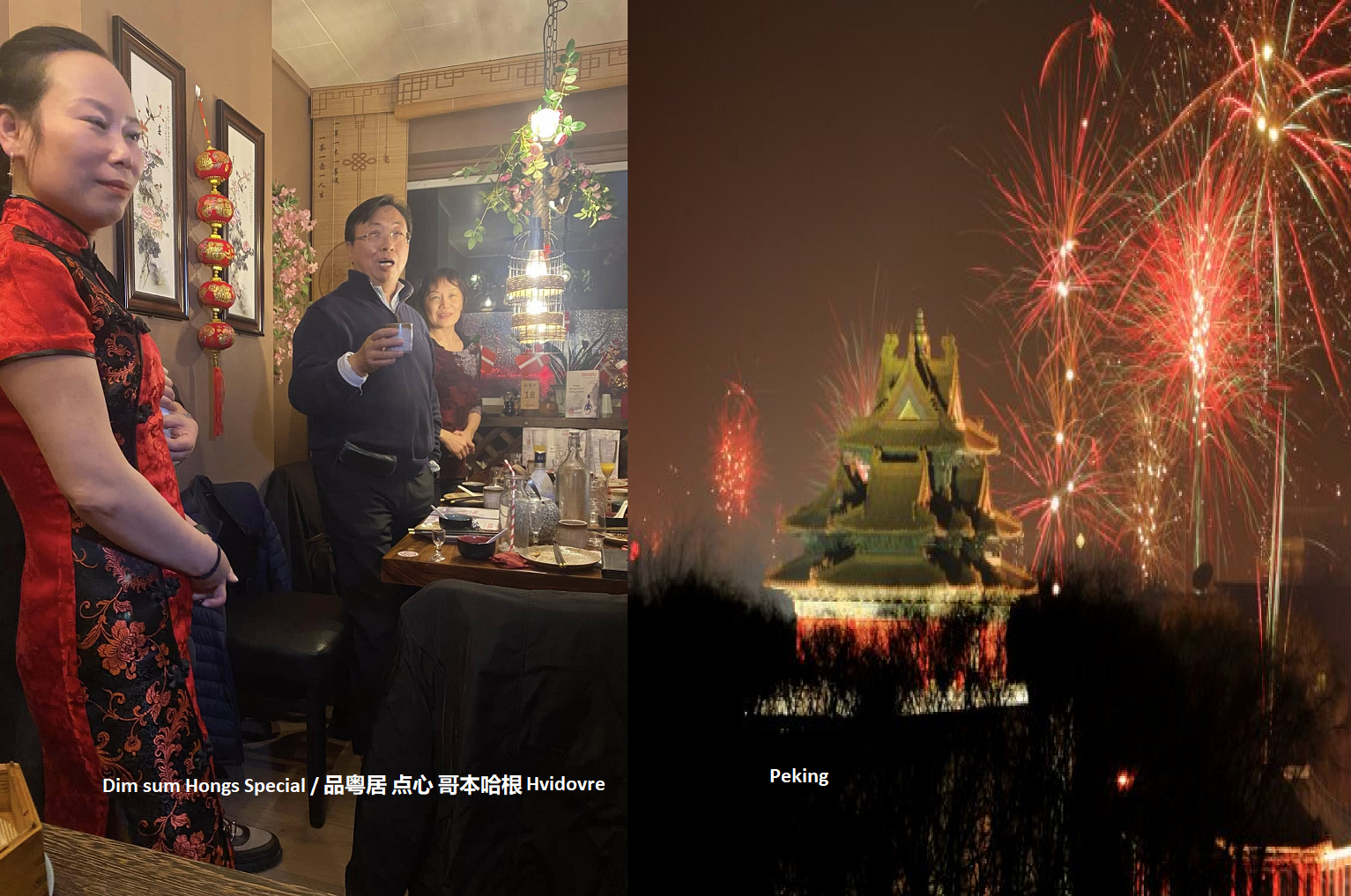 Kinesisk nytår/ Lunar New Year – Kung Hei Fat Choi – Slangens år ...